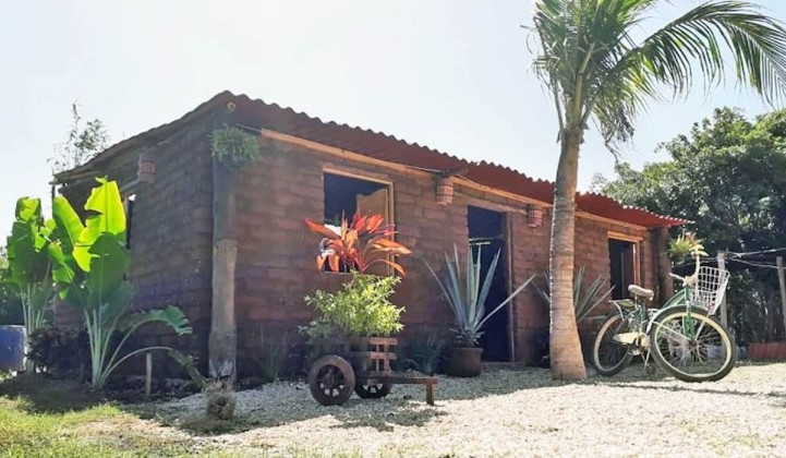 Visionary Gardener Turns Piles of Beached Seaweed Into Bricks for ...