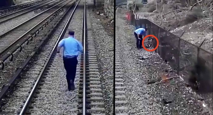 Hero Conductor Stops Train to Rescue 3-Year-Old Boy Lost on the Tracks ...