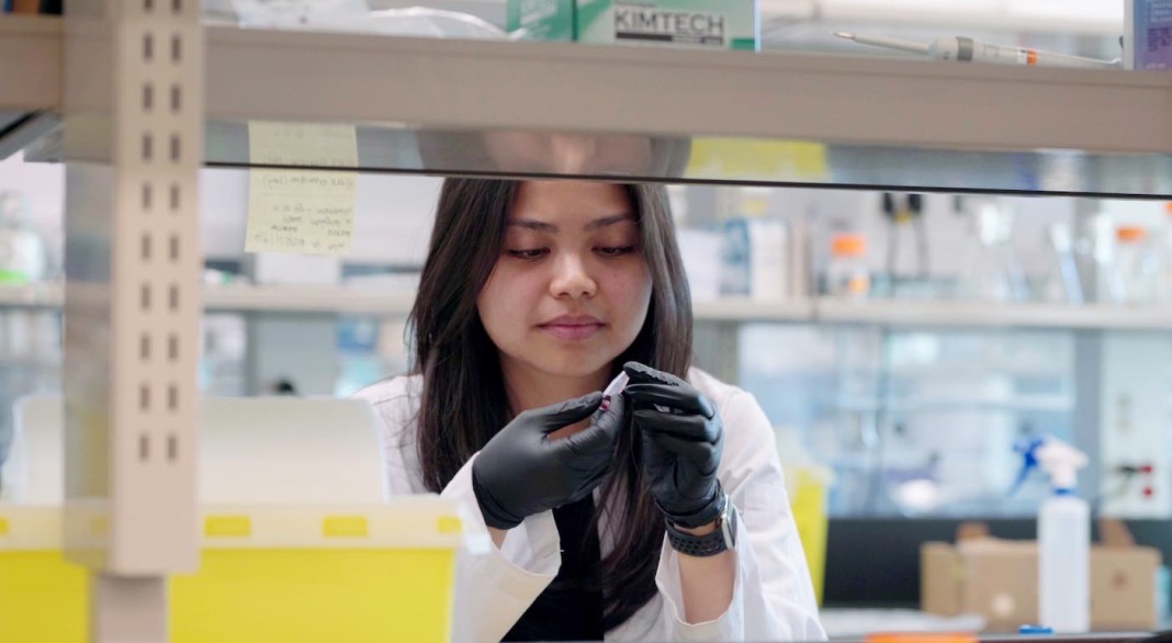 Antibiotic That Destroys One of World's Deadliest Superbugs Discovered ...