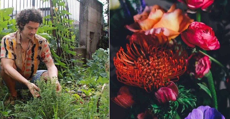 Good Gardening Week 15: All About Spring Flowers—Plus Last Week's Early ...