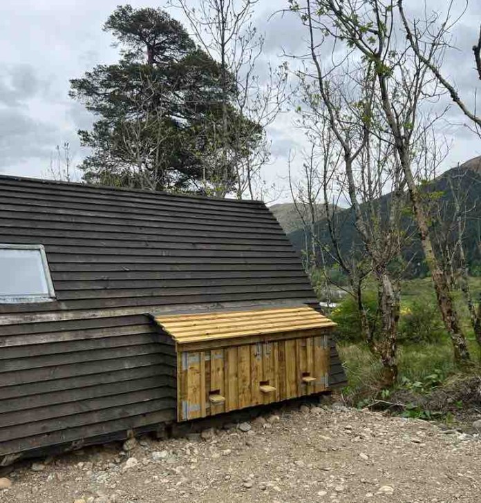 Bee Therapy Retreat Where Vibrations From Bees and Scent of Honey ...