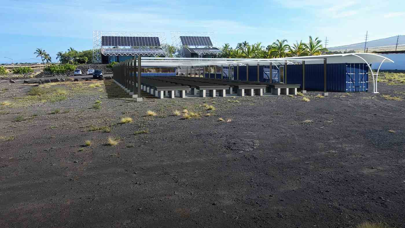 $25 Million Donation Launches Largest Coral Restoration Project in ...