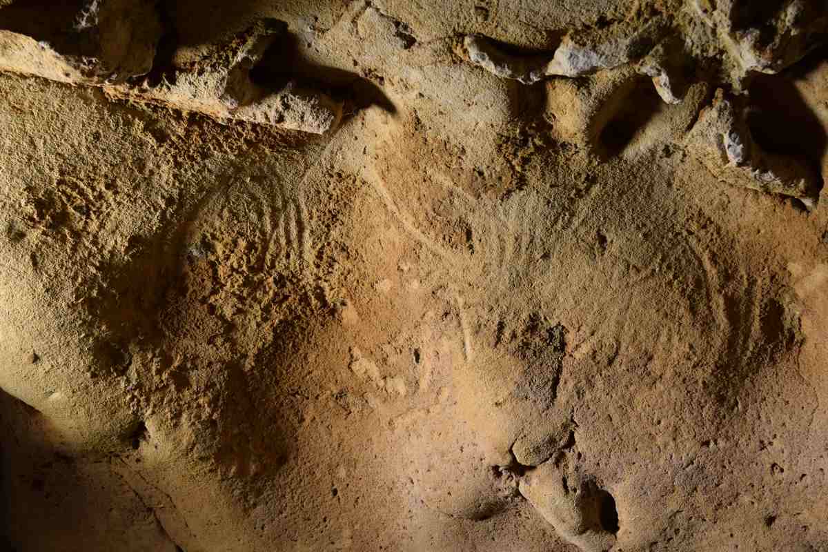 Markings on French Cave Wall Identified as the Oldest Known Neanderthal ...