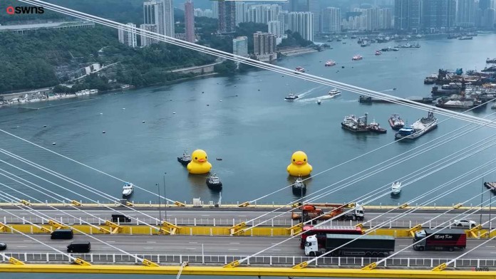 Make Yourself Happy: Watch a Pair of Giant Rubber Duckies Floating in ...