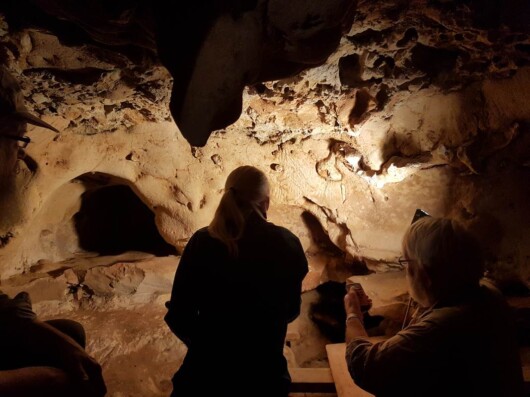 Markings on French Cave Wall Identified as the Oldest Known Neanderthal ...