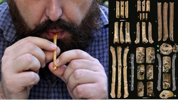 Tiny Bone Flutes Discovered May Have Been Used for Calling Birds 12,000 ...