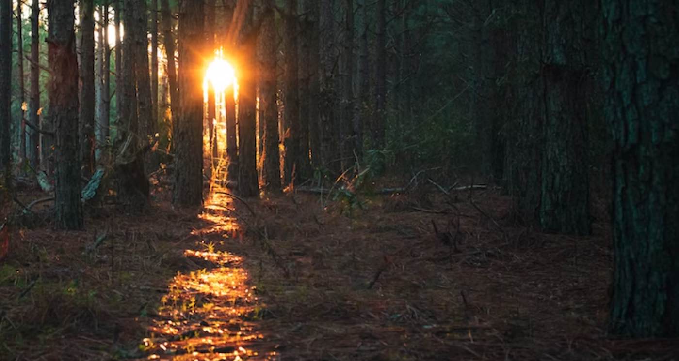 “It is during our darkest moments that we must focus to see the light.” – Aristotle Onassis