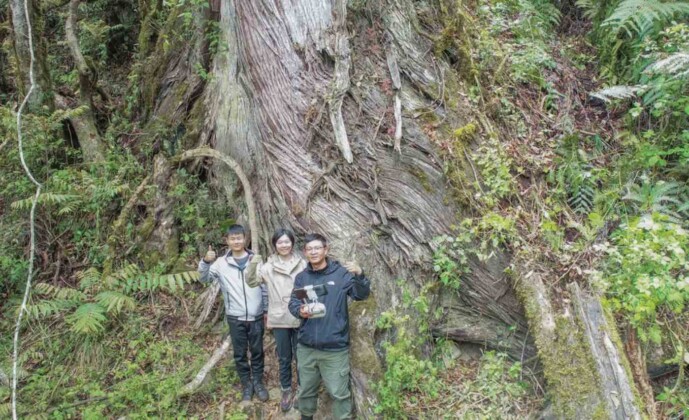 New Tallest Tree in Asia–a 335-Foot Cypress Shows There's Plenty Left ...