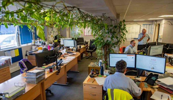 Plant Brought to the Office 14 Years Ago Has Grown into 600-Foot Monster