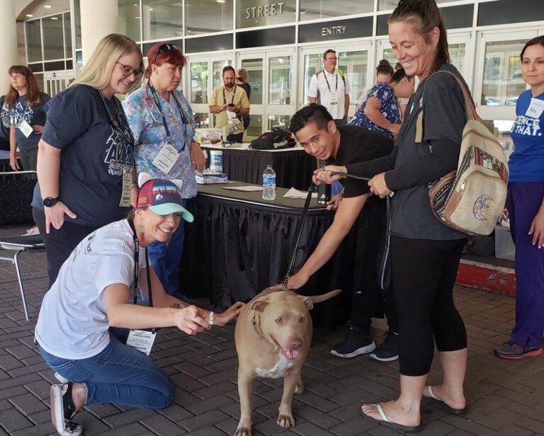 Veterinary Conference Turns into Free Clinic to Care for the Pets of ...