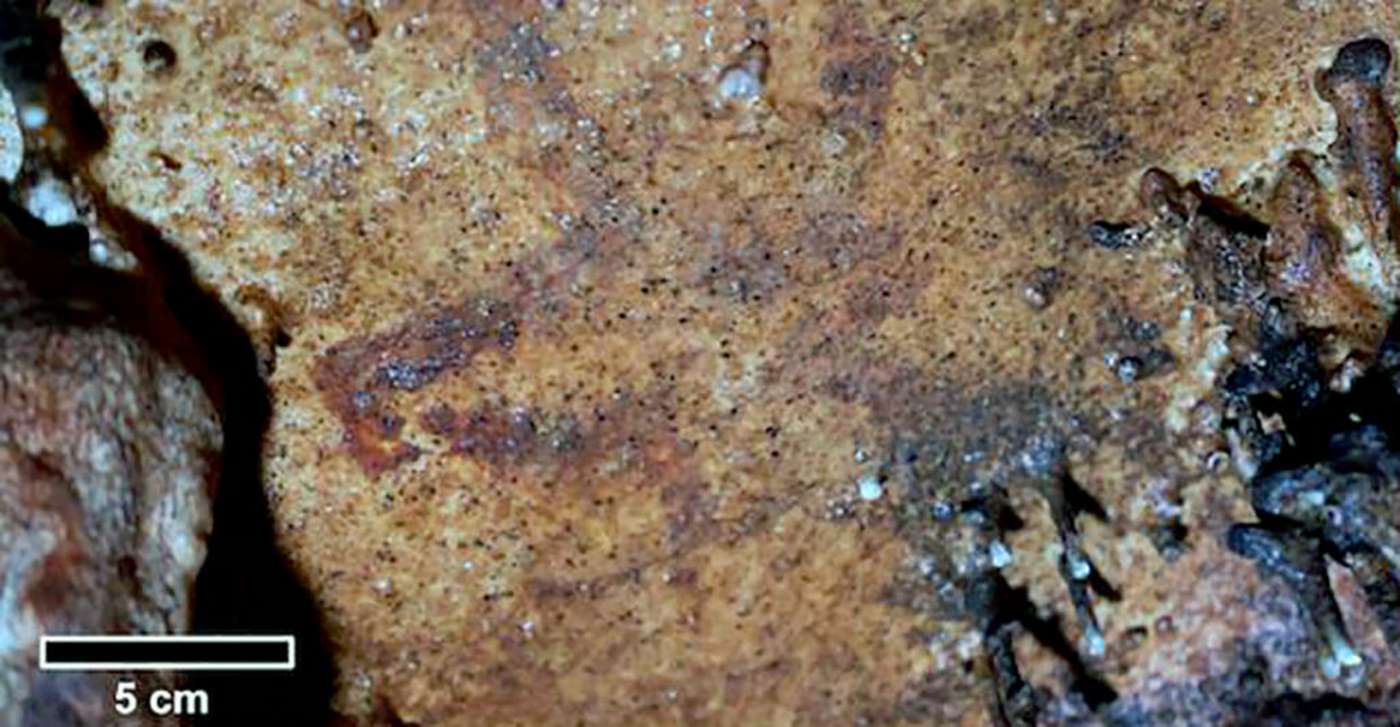 24 000 Year Old Cave Art Suddenly Found In Well Known Paleolithic Cave