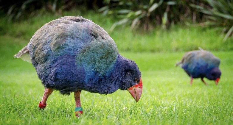 Readers' Choice Top 10 Good News of the Year 2023