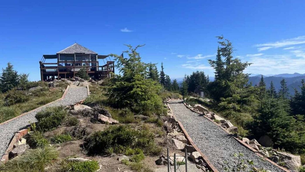 Eagle Scout Leads Volunteers to Build Accessible Path Up to Beautiful ...