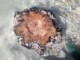 Evidence of Massive Solar Storm Found in Ancient Tree Rings Could Help ...