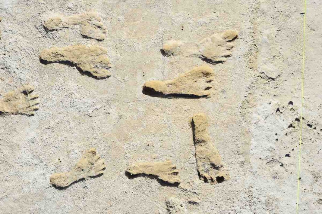 Oldest Fossilized Human Footprints in North America Over 20,000 Years ...