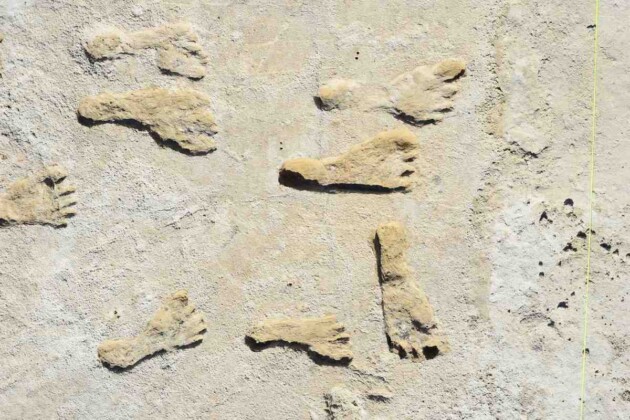 Oldest Fossilized Human Footprints in North America Over 20,000 Years ...