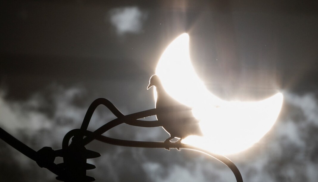 Rare Annular Solar Eclipse Transfixes Crowds Across the Americas - LOOK