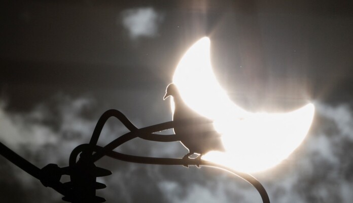 Rare Annular Solar Eclipse Transfixes Crowds Across the Americas - LOOK