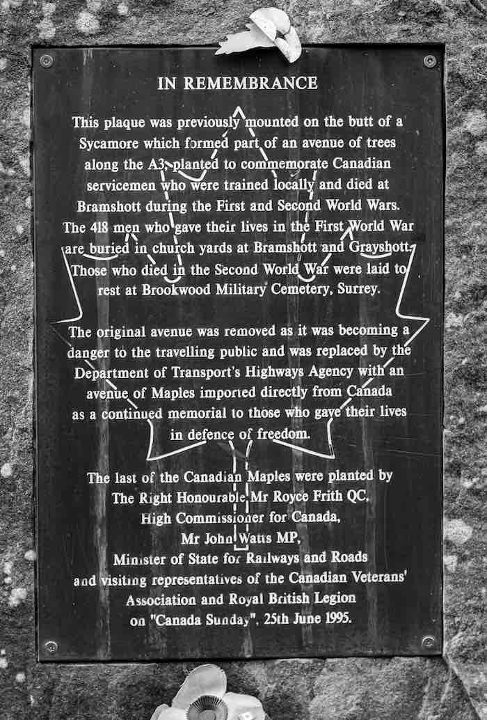 Red Maple Trees Line English Road to Honor 418 Canadian Soldiers Who ...