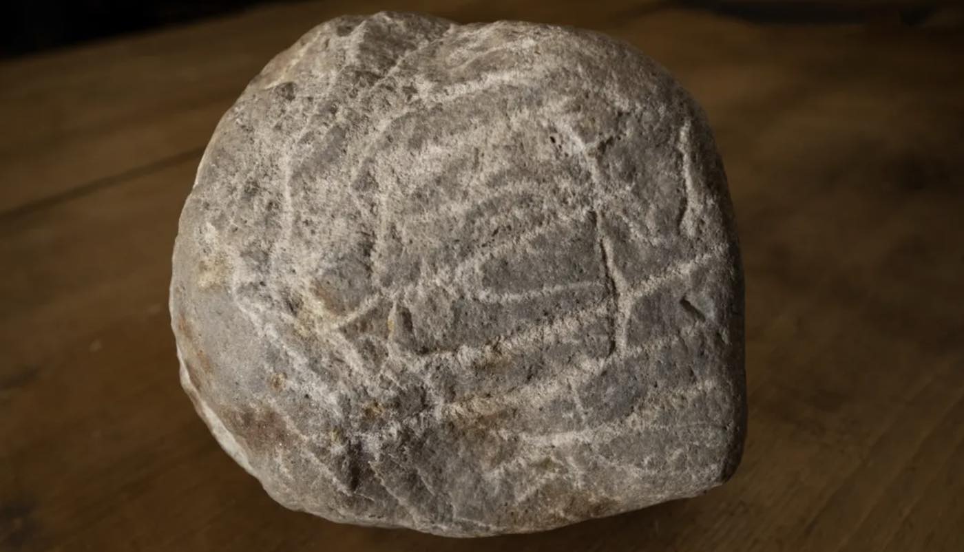 Bison Herd New to Park Uncover Ancient Petroglyphs With Their Hooves ...