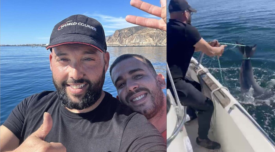 Fishermen Rescue Young Dolphin While its Mother Held it Afloat as it ...