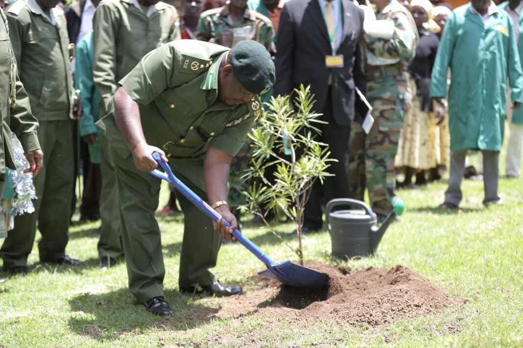 Kenyans Flock to Fields and Parks to Ring in 3-Day Weekend for New ...