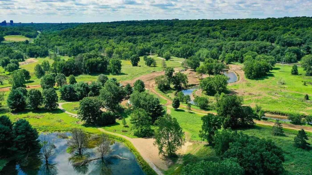 Abandoned Ohio Golf Course Being Rewilded into Public Land with Native ...