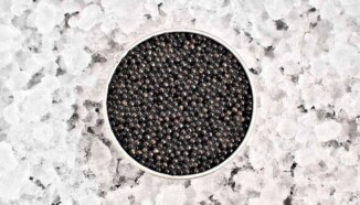 'No-Kill Caviar' Method Produces Superior Product While Boosting ...