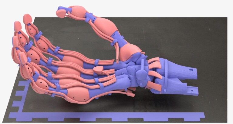 Robotic Hand with Bones, Ligaments and Tendons Created for First Time ...