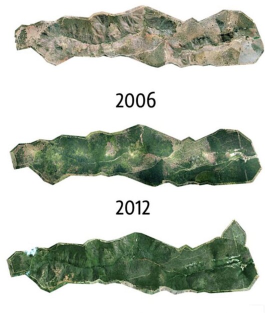 Couple Plants 2 Million Trees in 20 Years to Turn Destroyed Forest Back ...