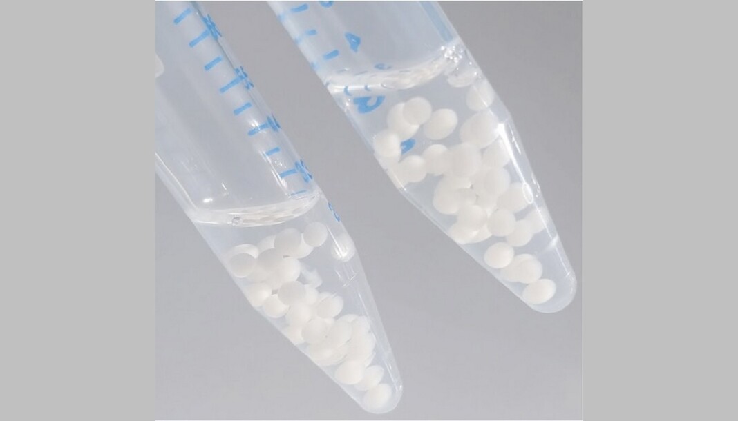 Scientists Engineered a Bacteria to Eat Plastic Bottles and ...