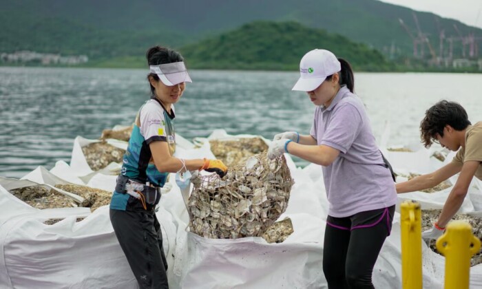 Restaurants Find Companies to Take Their Spent Oyster Shells to Restore ...