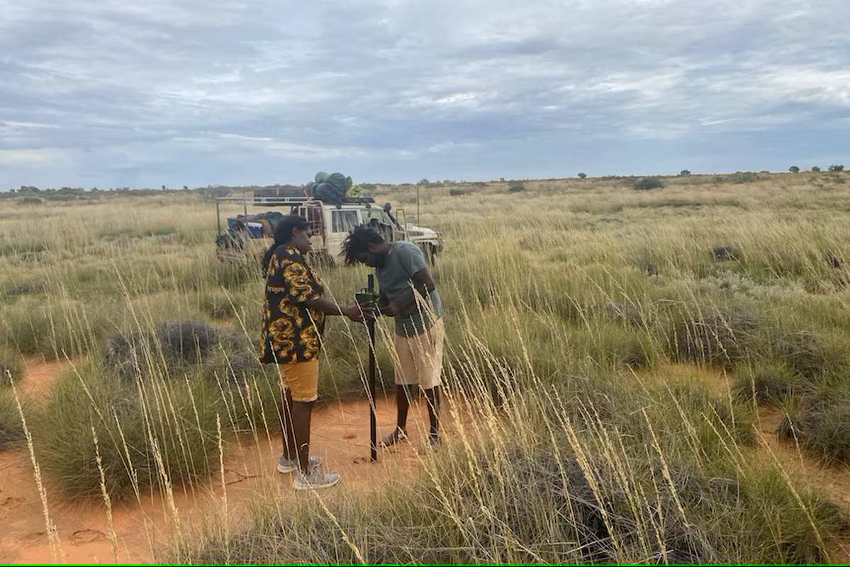 Rare Nocturnal Parrot Described as ‘the Holy Grail of Ornithology ...