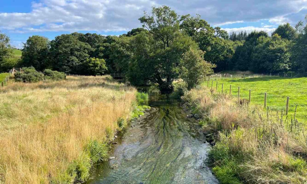 Farmer Combats Flooding by Returning Creeks to Nature: ‘Wildlife That ...