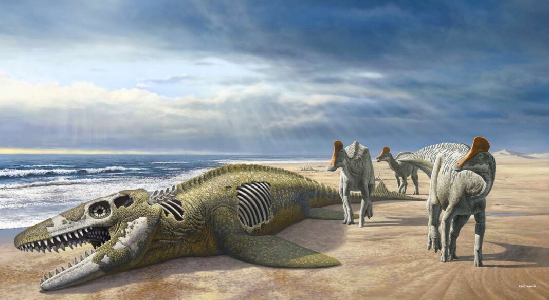 Pony-Sized Dinosaurs Swam or Floated Across Hundreds of Miles of Ocean ...