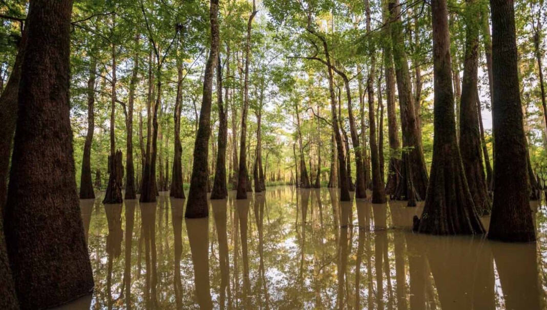 Unprecedented Gift Preserves 8,000 Acres of ‘The Land Between the ...
