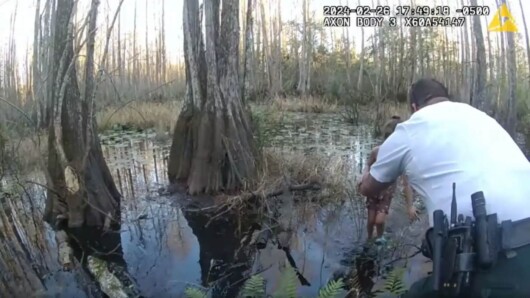 Deputies Rescue 5-yo Girl With Autism Wandering in a Florida Swamp: “We ...