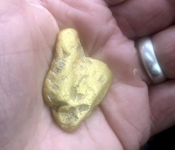 Despite Faulty Metal Detector, Treasure Hunter Unearths Largest Gold ...