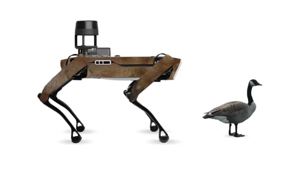 Airport Keeps Wildlife Away From Runways with Robot Disguised as Predator