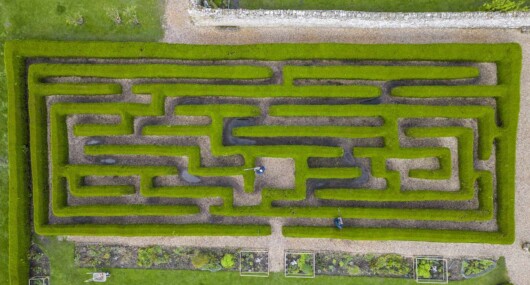 Mesmerizing Photo Shows Gardeners Perfecting a Maze at 625-Year-old ...