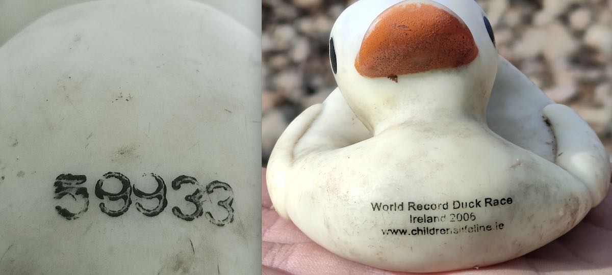 Rubber Duck Washes Up 18 Years After it Lost a River Race and Headed ...