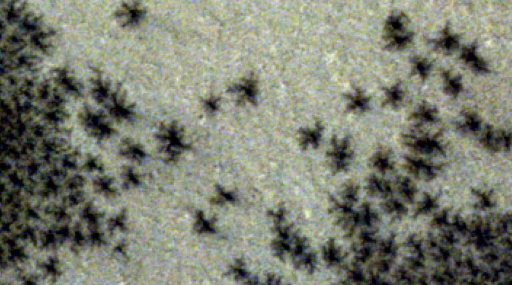 Spiders From Mars? Phenomenon Evokes David Bowie Song in These Photos ...