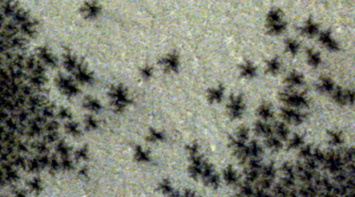 Spiders From Mars? Phenomenon Evokes David Bowie Song in These Photos ...