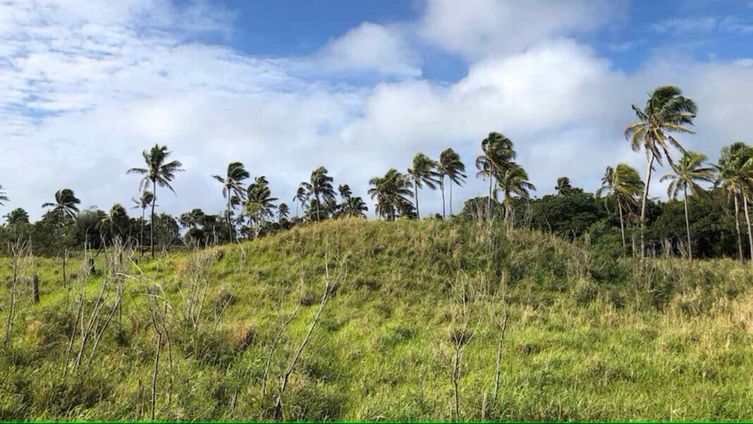 Archaeologists Uncover Ancient City in Kingdom of Tonga That Rewrites ...