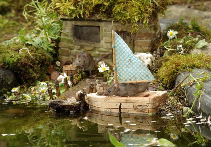 Man Who Built Adorable Mouse Village to Cope With Depression Adds a Pub ...