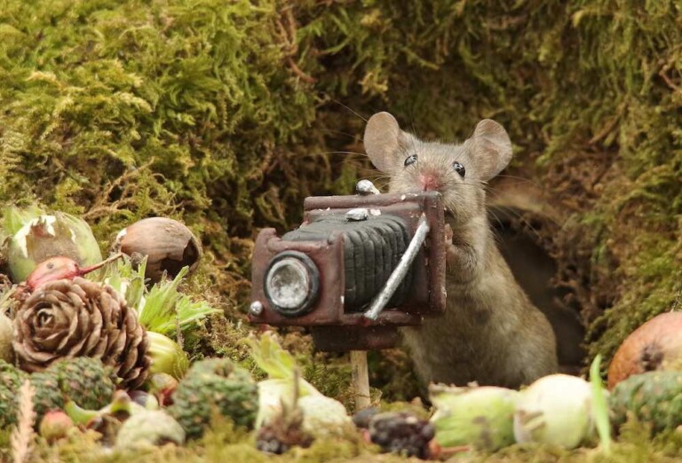 Man Who Built Adorable Mouse Village to Cope With Depression Adds a Pub ...