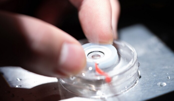 MIT Makes ‘Astonishing’ Discovery That Light Can Vaporize Water Without ...