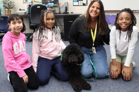 Dogs Placed in Elementary Schools Making a Big Difference in Academics ...