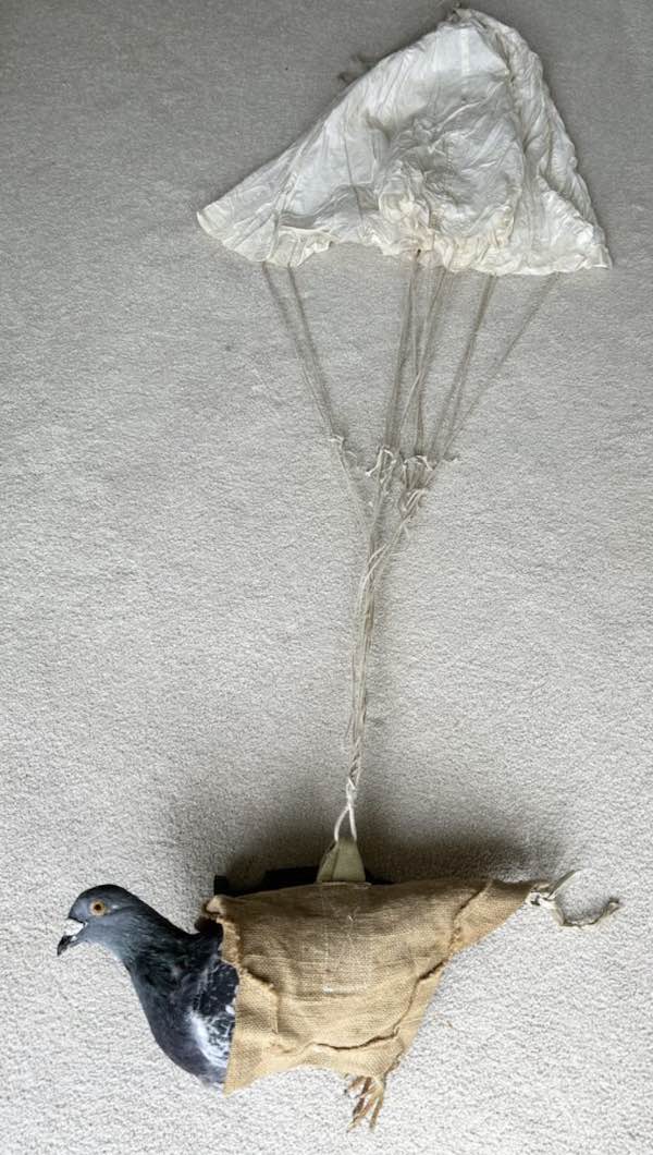 Rare WWII Pigeon Parachute Used to Carry Messages to French Resistance ...