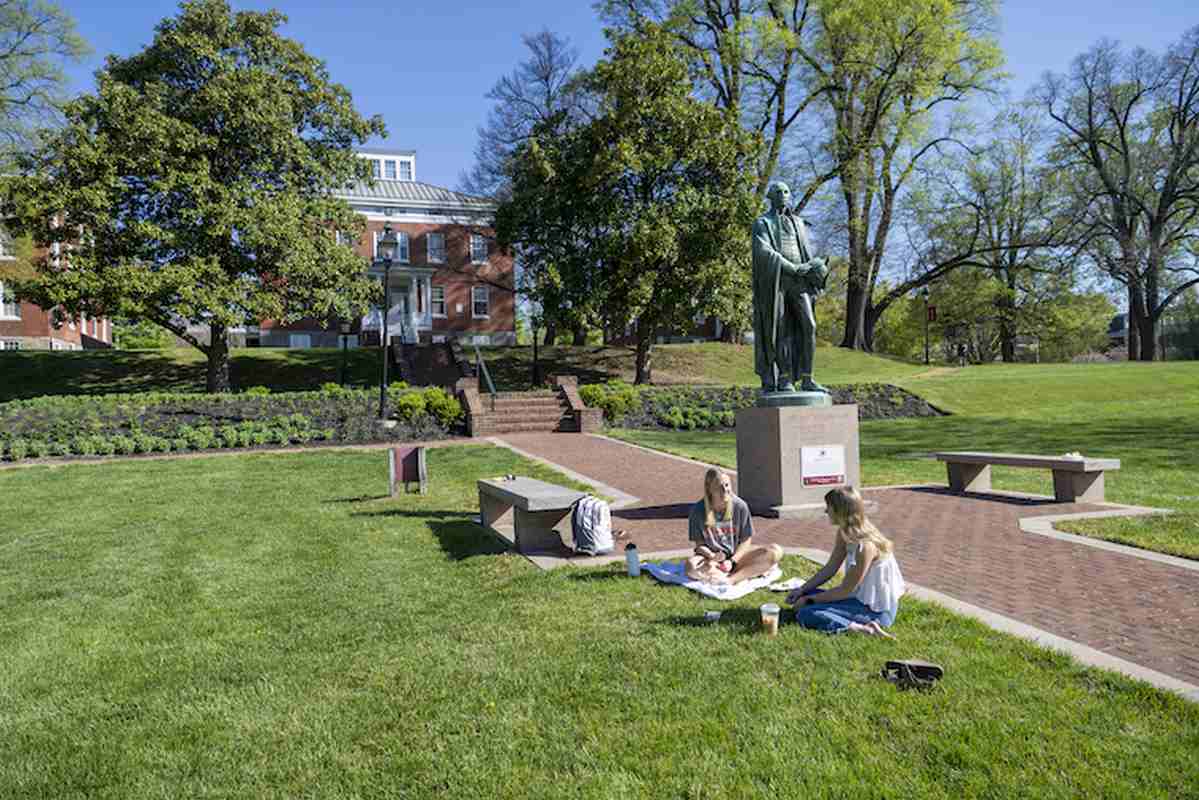 Scientists Buzzing After Unique Native Bee Colonies Discovered Right on ...